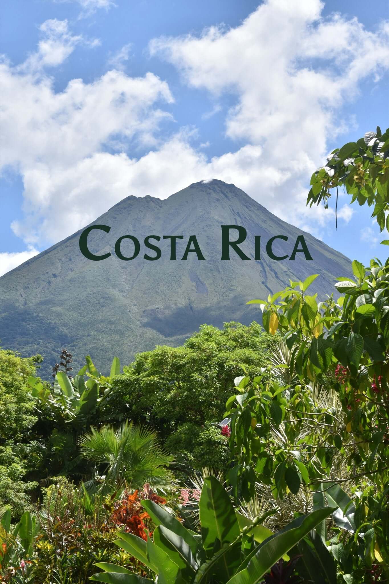 Plant a Tree in Costa Rica: Make a Difference – My One Tree
